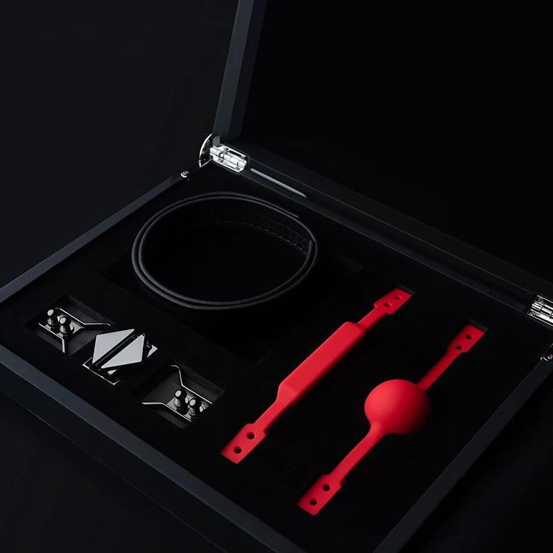 Luxury Bondage LOCKINK Ball Gag and Gag-bite Set Masks, Gags and – Bound By Desire